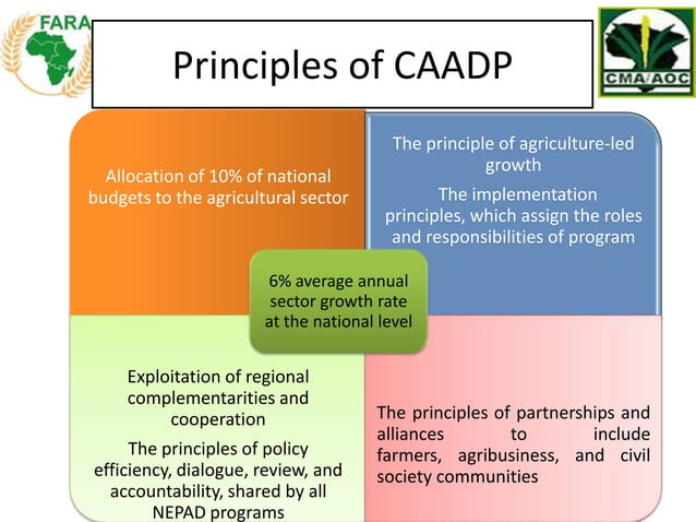 Strategies of investment in sps along the value chain | PPT