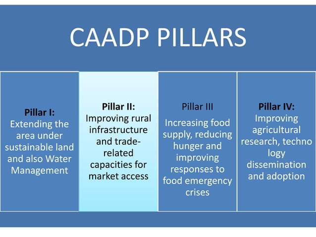 Strategies of investment in sps along the value chain | PPT