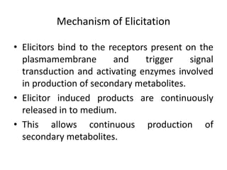 Strategies to enhance production of secondary metabolites | PPTX
