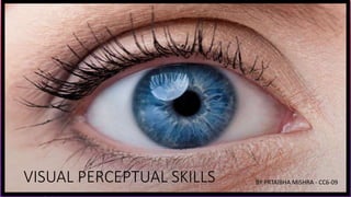 Strategies to improve visual perceptual skills in children | PPT