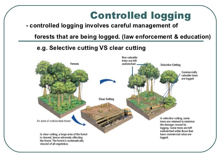 Strategies to manage deforestation Strategies to manage deforestation