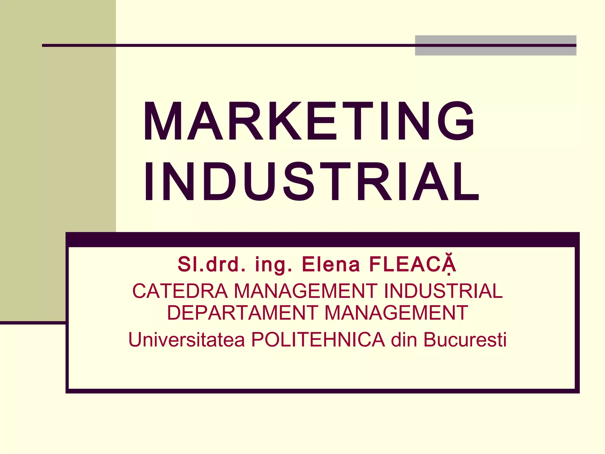 Strategii de marketing industrial0 | PPT