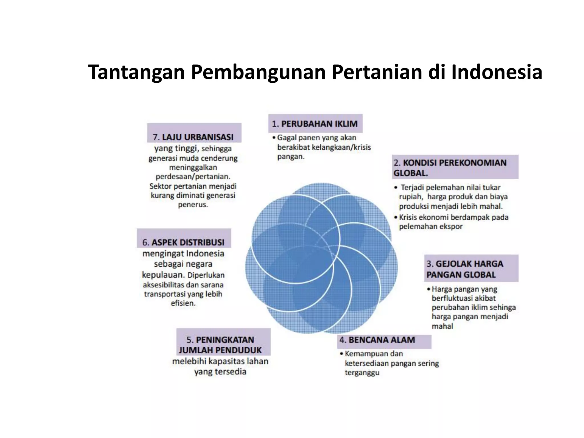 Strategi Pembangunan Pertanian di Indonesia.pdf