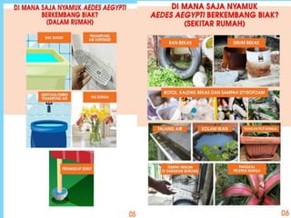 STRATEGI PENGENDALIAN DBD DI INDONESIA.ppt