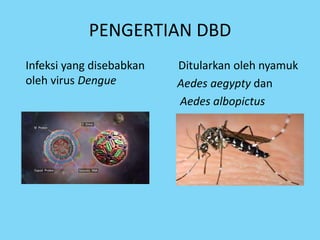 STRATEGI PENGENDALIAN DBD DI INDONESIA.ppt