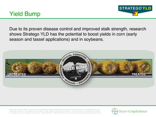 Stratego® YLD - Corn & Soybean Fungicide | PDF