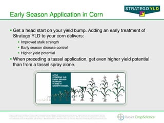 Stratego® YLD - Corn & Soybean Fungicide | PDF