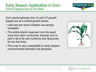 Stratego® YLD - Corn & Soybean Fungicide | PDF