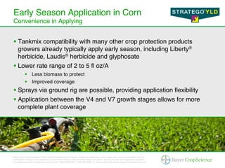 Stratego® YLD - Corn & Soybean Fungicide | PDF
