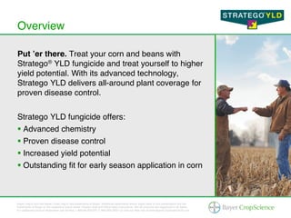 Stratego® YLD - Corn & Soybean Fungicide | PDF