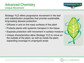 Stratego® YLD - Corn & Soybean Fungicide | PDF