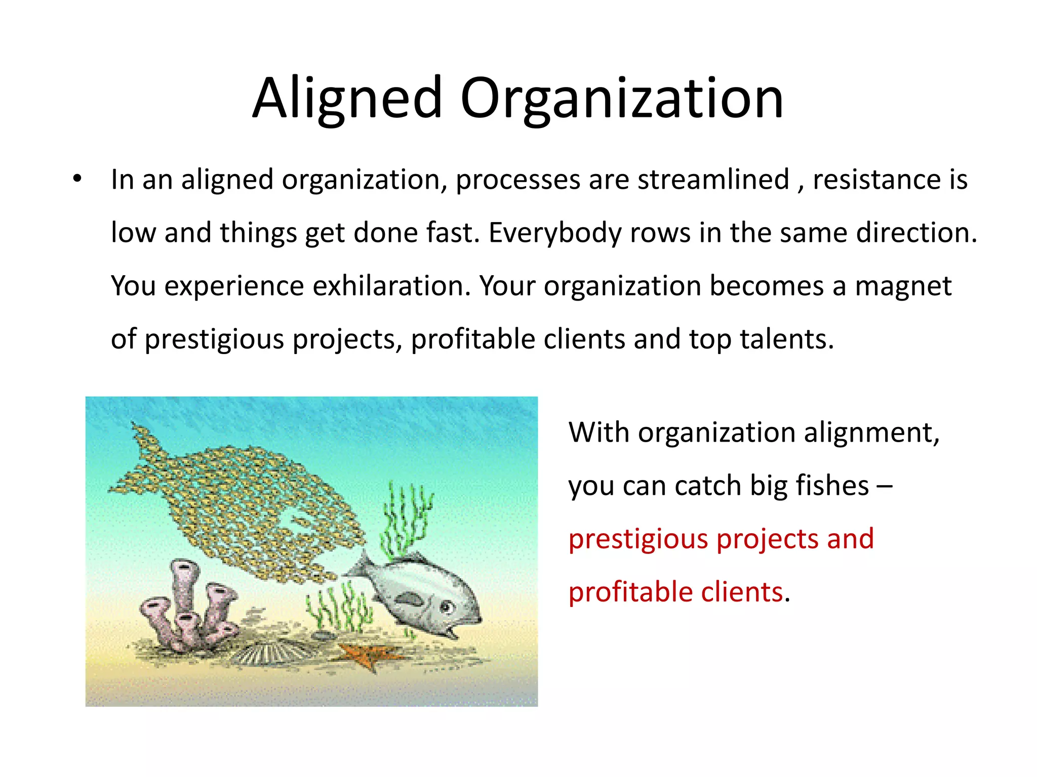 Strategy Aligned Organization | PDF