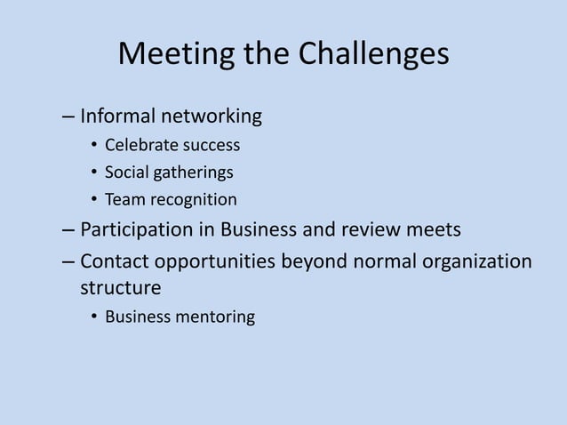 Strategy antelope modified_feb06 | PPTX | IT and Internet Support | Internet