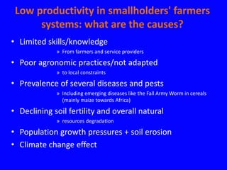 Strategy for increasing smallholder farmers | PPT