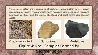 Stratification-of-Rocks-Lesson-4.2.tgpptx | PPTX | Geology | Science