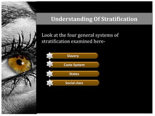 Stratification | PPT