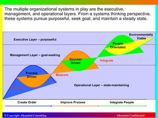 Stratified governance model v9.1 summary | PPT