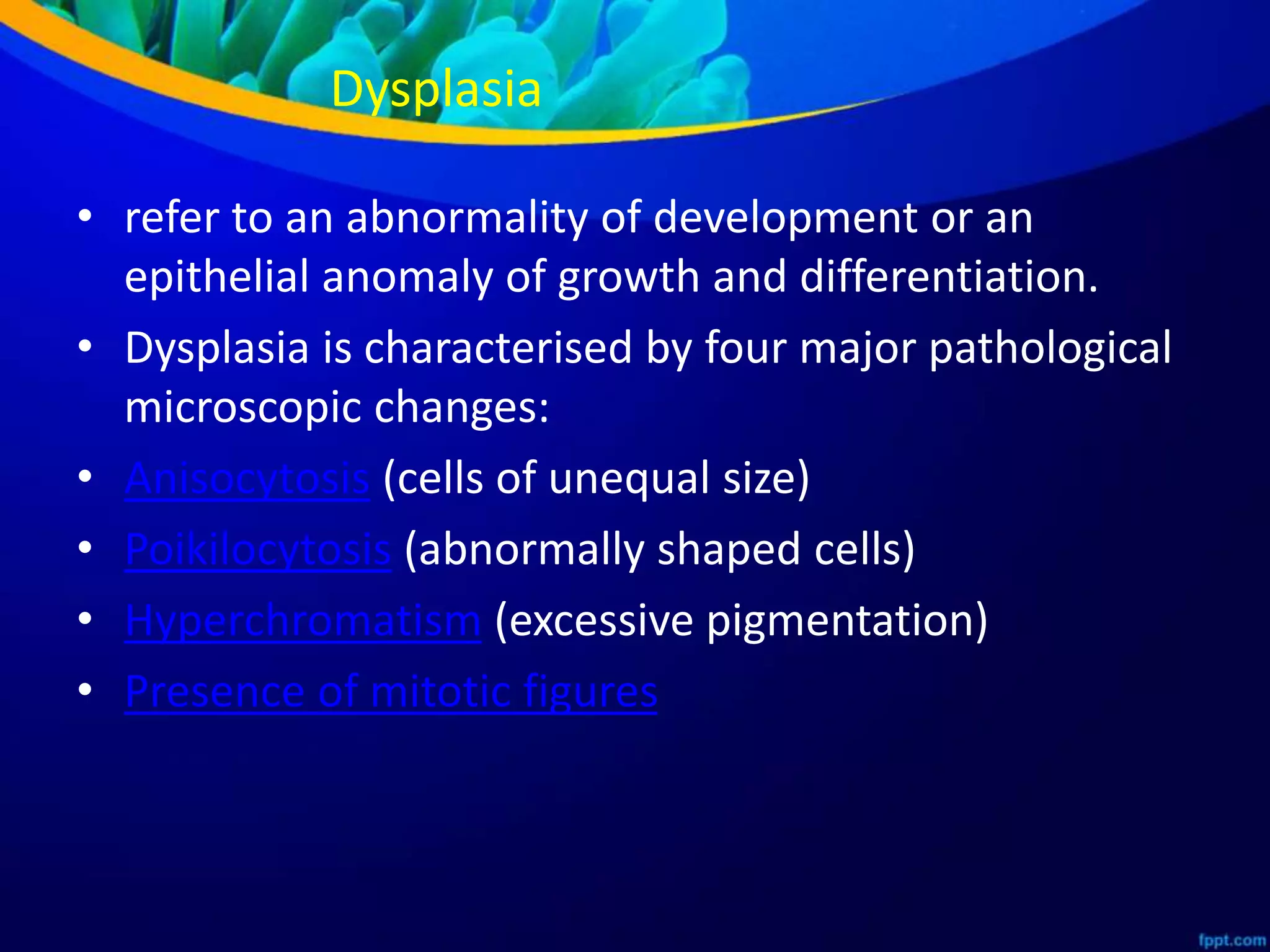stratified EPITHELIUM HISTOLOGY lecture (1).pptx