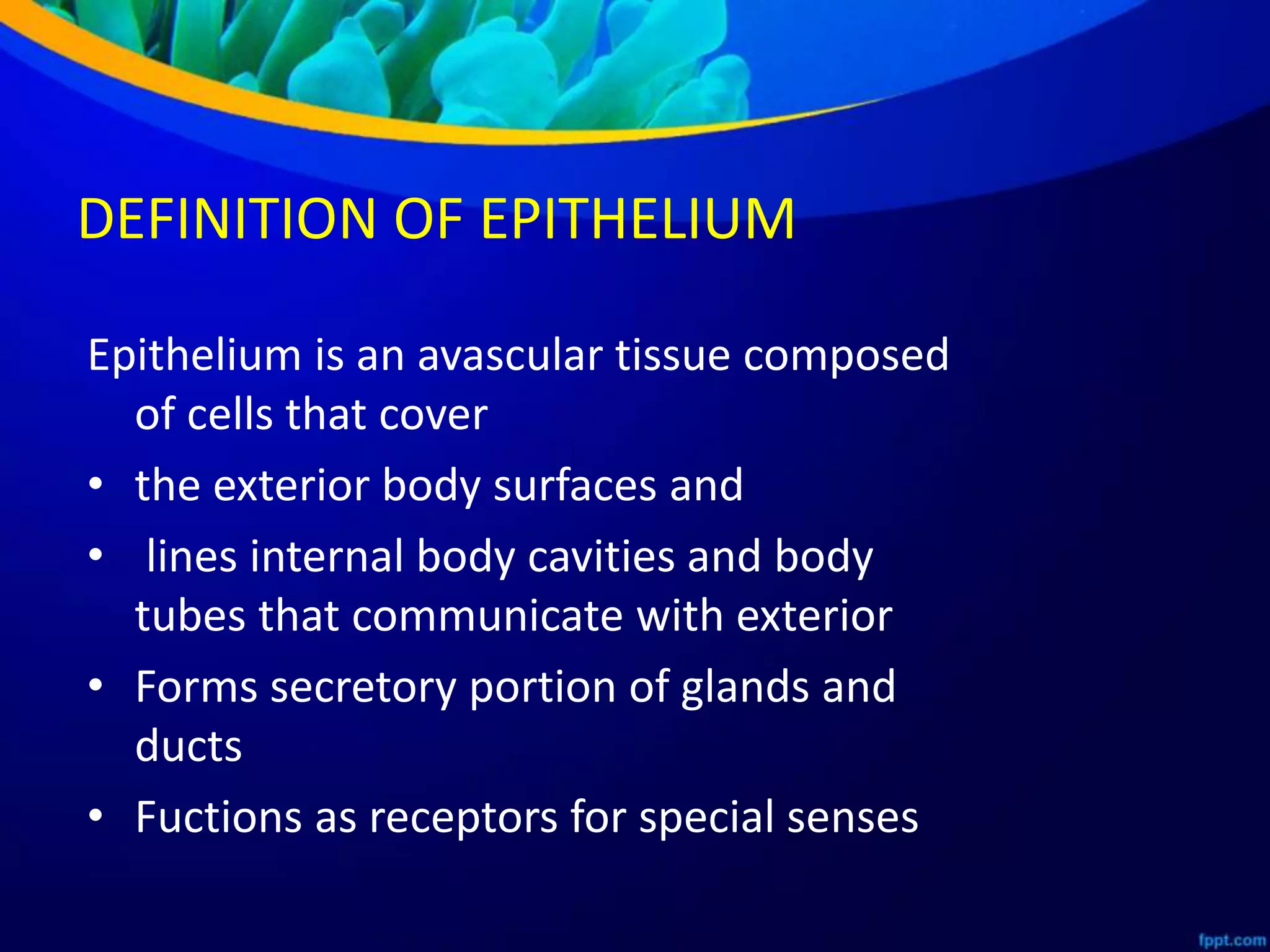 stratified EPITHELIUM HISTOLOGY lecture (1).pptx