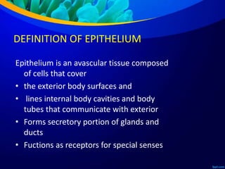 stratified EPITHELIUM HISTOLOGY lecture (1).pptx