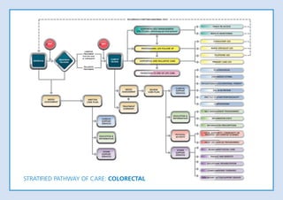 Stratified pathways of care...from concept to innovation | PDF | Cancer ...