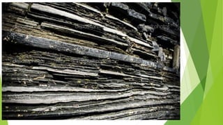 Stratified rocks | PPTX