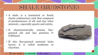 Stratified Rocks.pptx