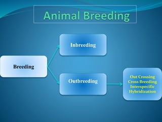 Stratigies for Enhancement in Food Production.pptx