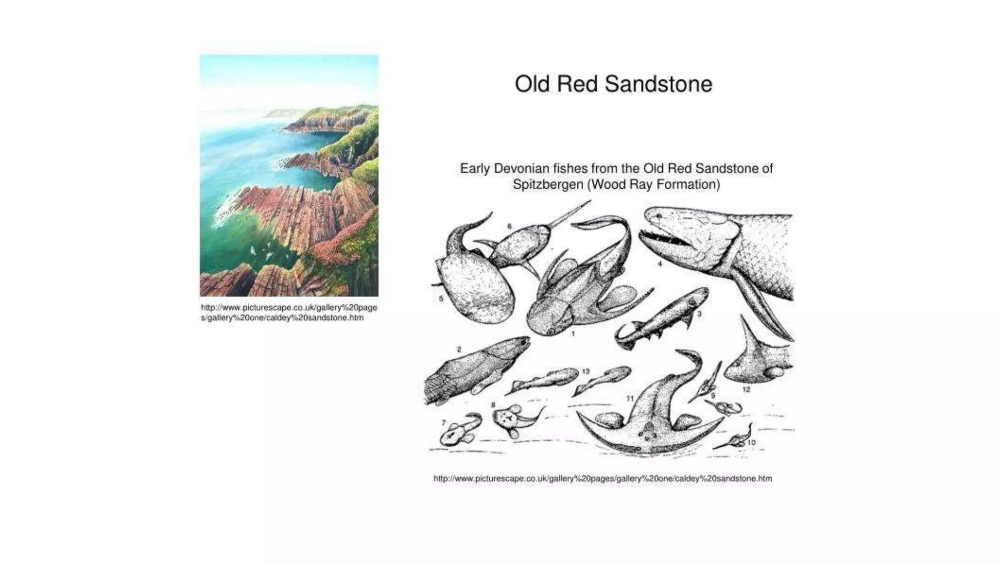 Stratigraphic Facies and Geologic Time.pptx