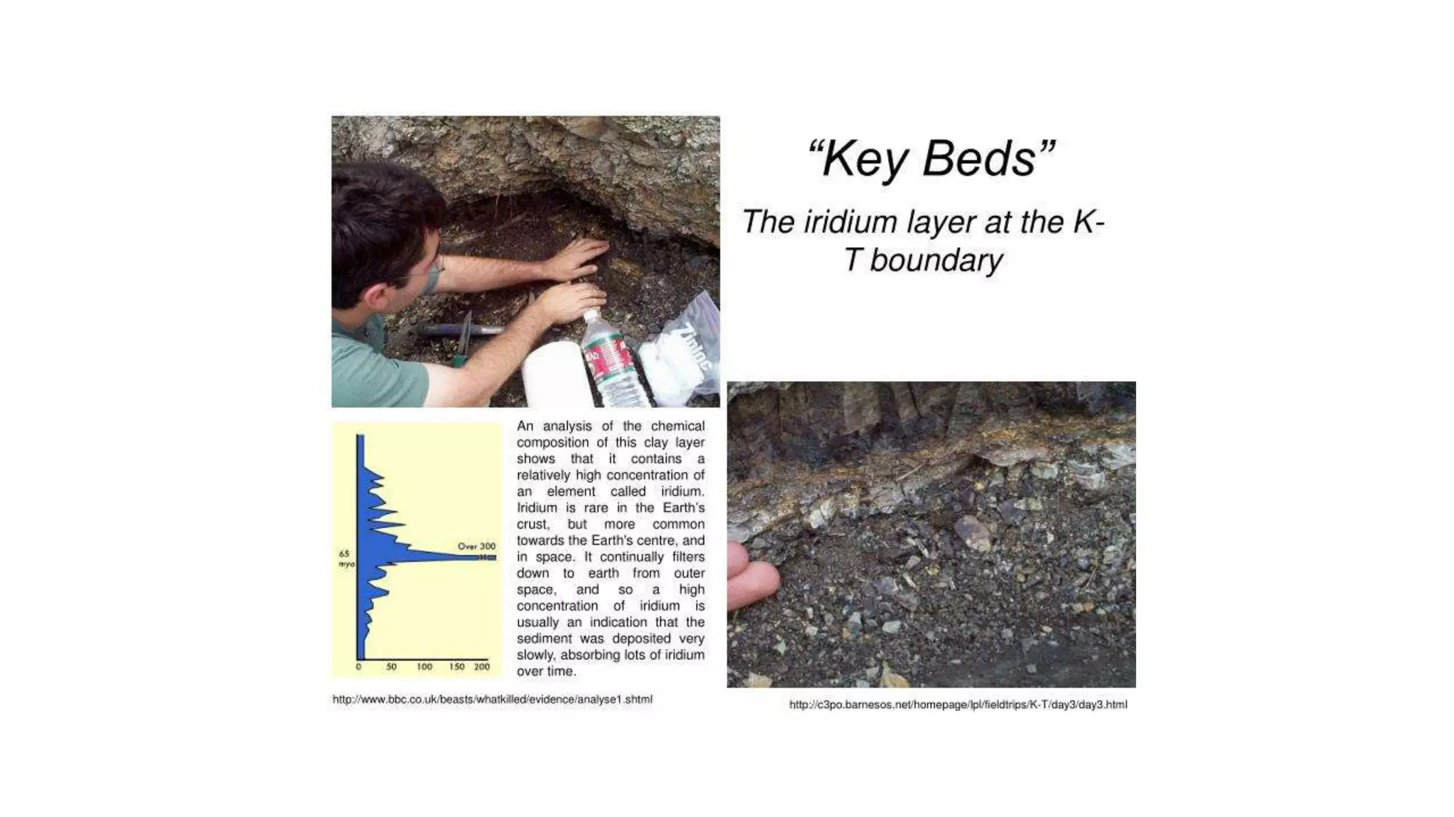 Stratigraphic Facies and Geologic Time.pptx
