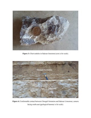 Salt Range Field Report | PDF