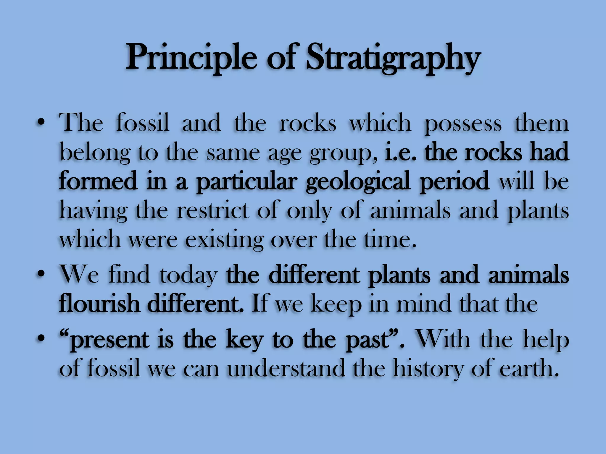Stratigraphy | PPTX