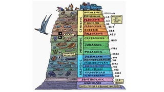 Stratigraphy | PDF