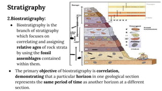 Stratigraphy | PDF