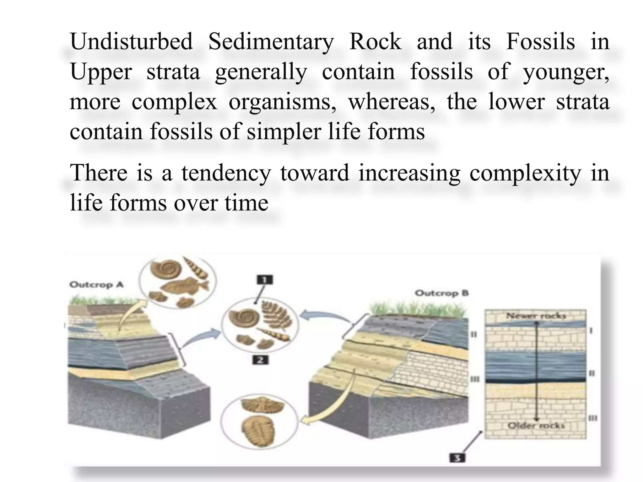 Stratigraphy and history of earth | PPTX