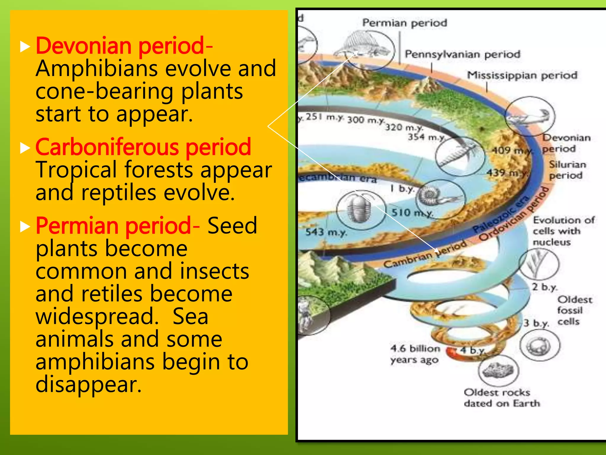 Stratigraphy and history of earth | PPTX