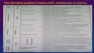 Stratigraphy of Trichinopoloy | PPTX