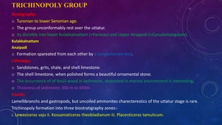 Stratigraphy of Trichinopoloy | PPTX