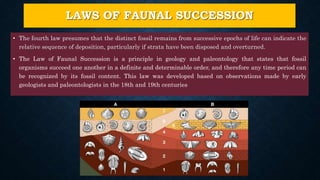 Stratigraphy Relative Dating Method.pptx
