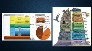 Stratigraphy Relative Dating Method.pptx