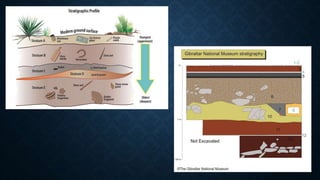 Stratigraphy Relative Dating Method.pptx