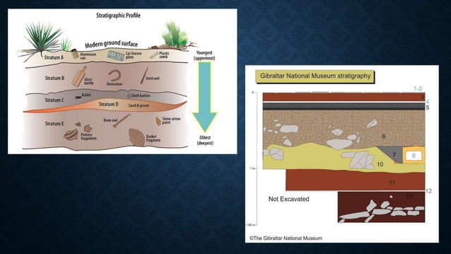 Stratigraphy Relative Dating Method.pptx