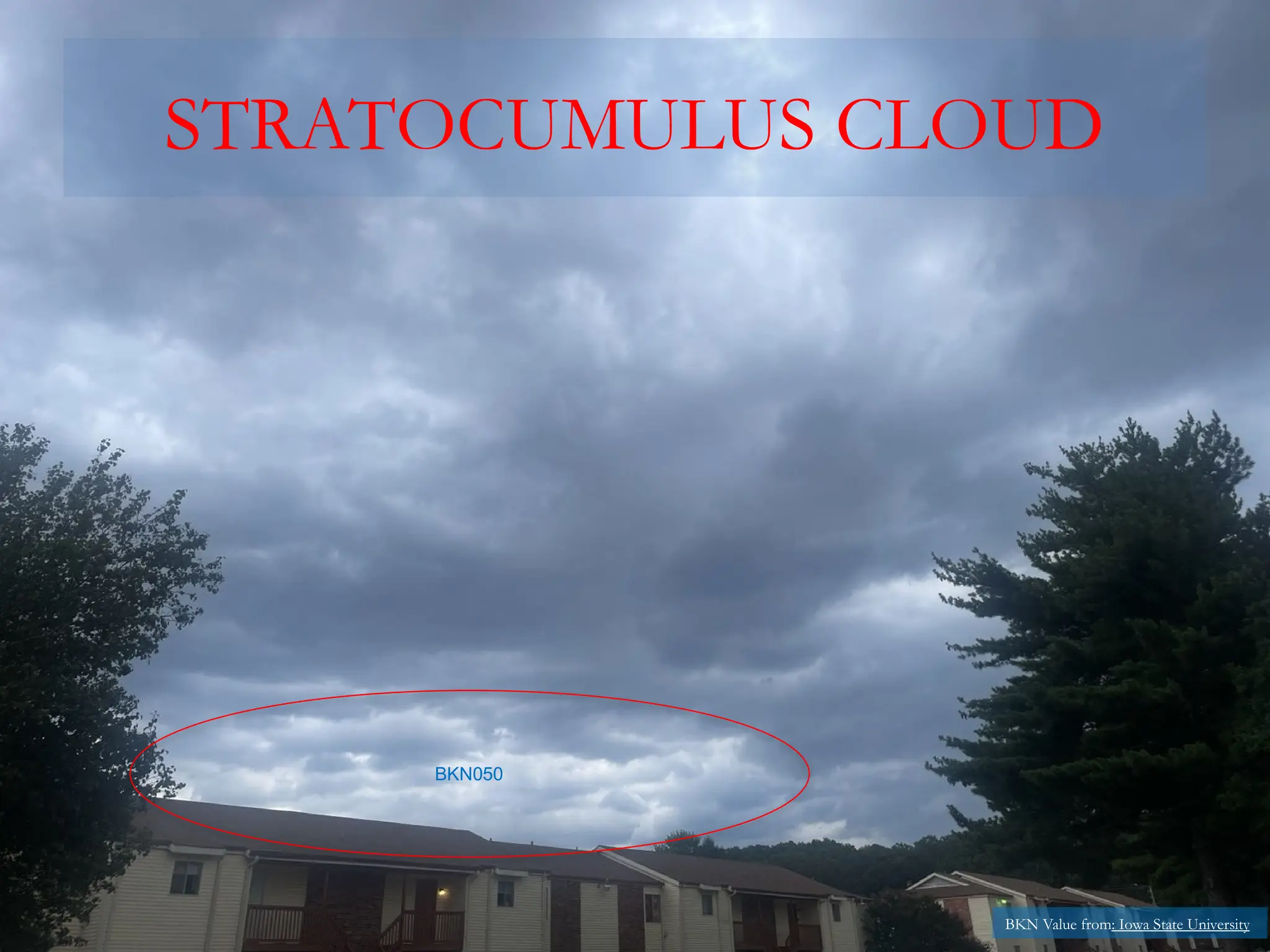 An introduction to stratocumulus Cloud.pptx
