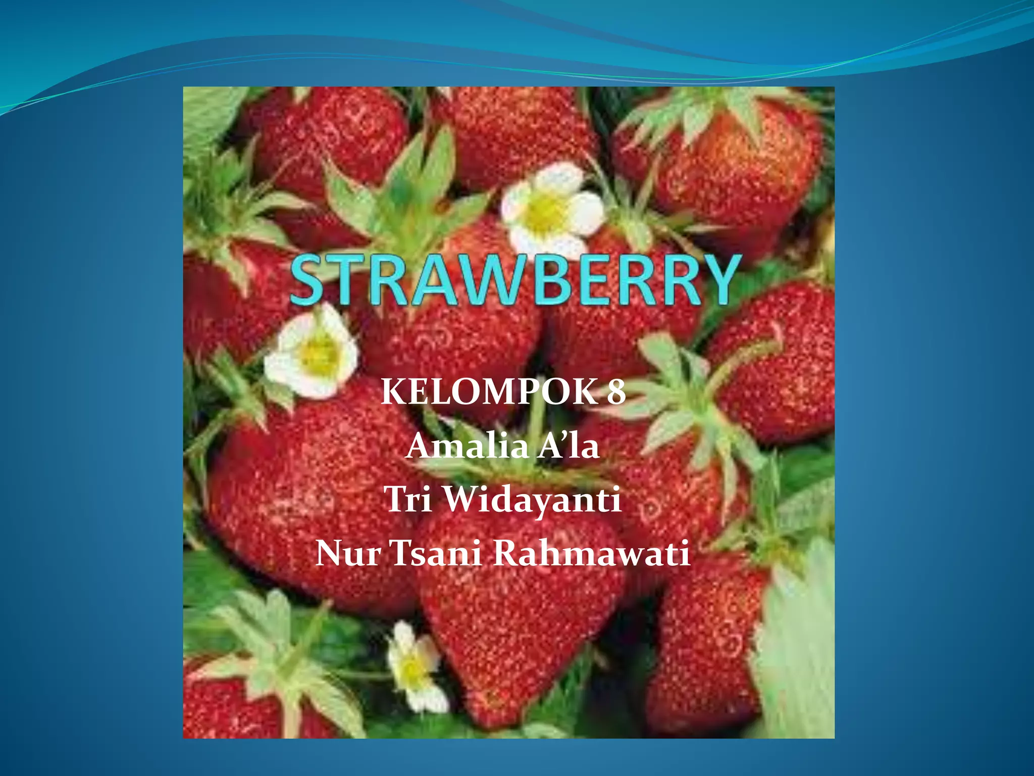 Strawberry | PPT