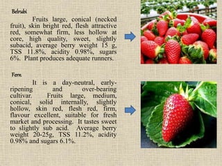 Strawberry | PPTX