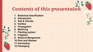 Strawberry production Technology .pptx