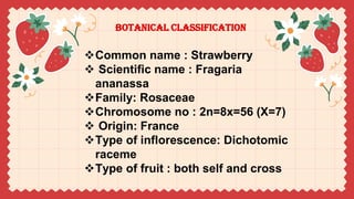 Strawberry production Technology .pptx