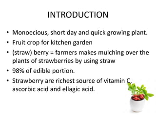 Strawberry cultivation | PPTX