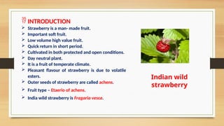 strawberry cultivation, varieties, diseases and management | PPTX