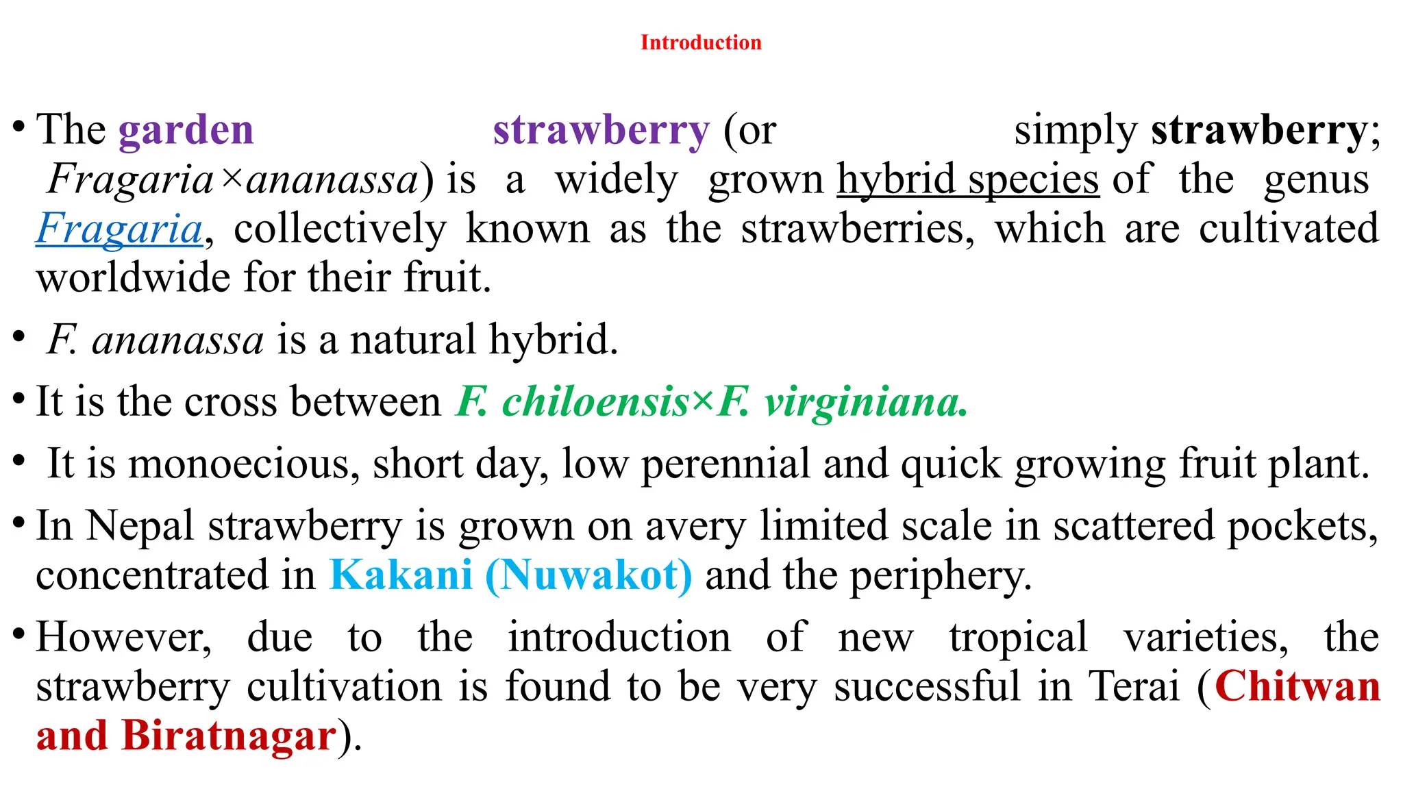 Strawberry fruit Cultivation in Nepal.pptx